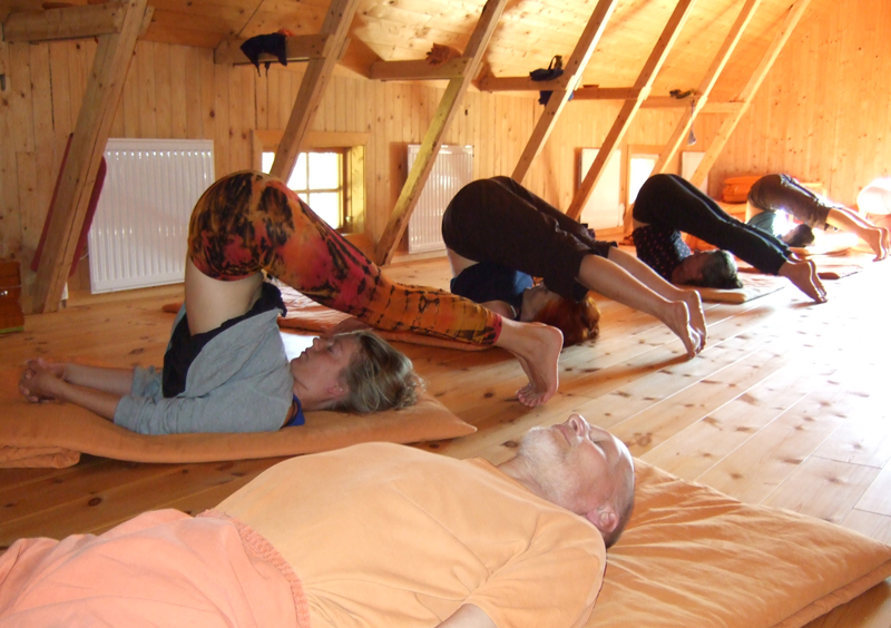 Lärare Klassisk Yoga Meditation And Satyananda Yoga Nidra